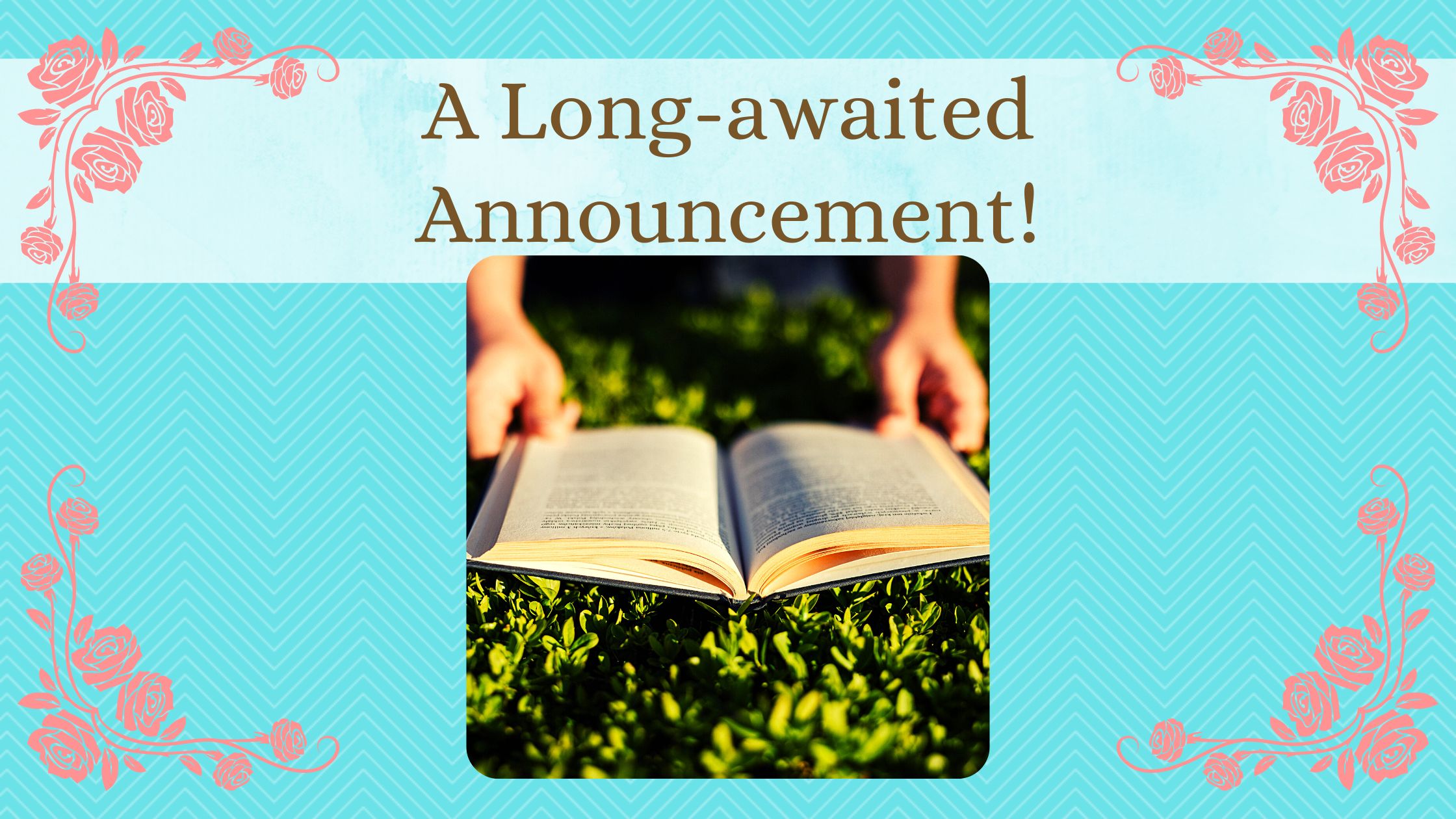 Tornado Tragedy Announcement - More Than Just Reading Press